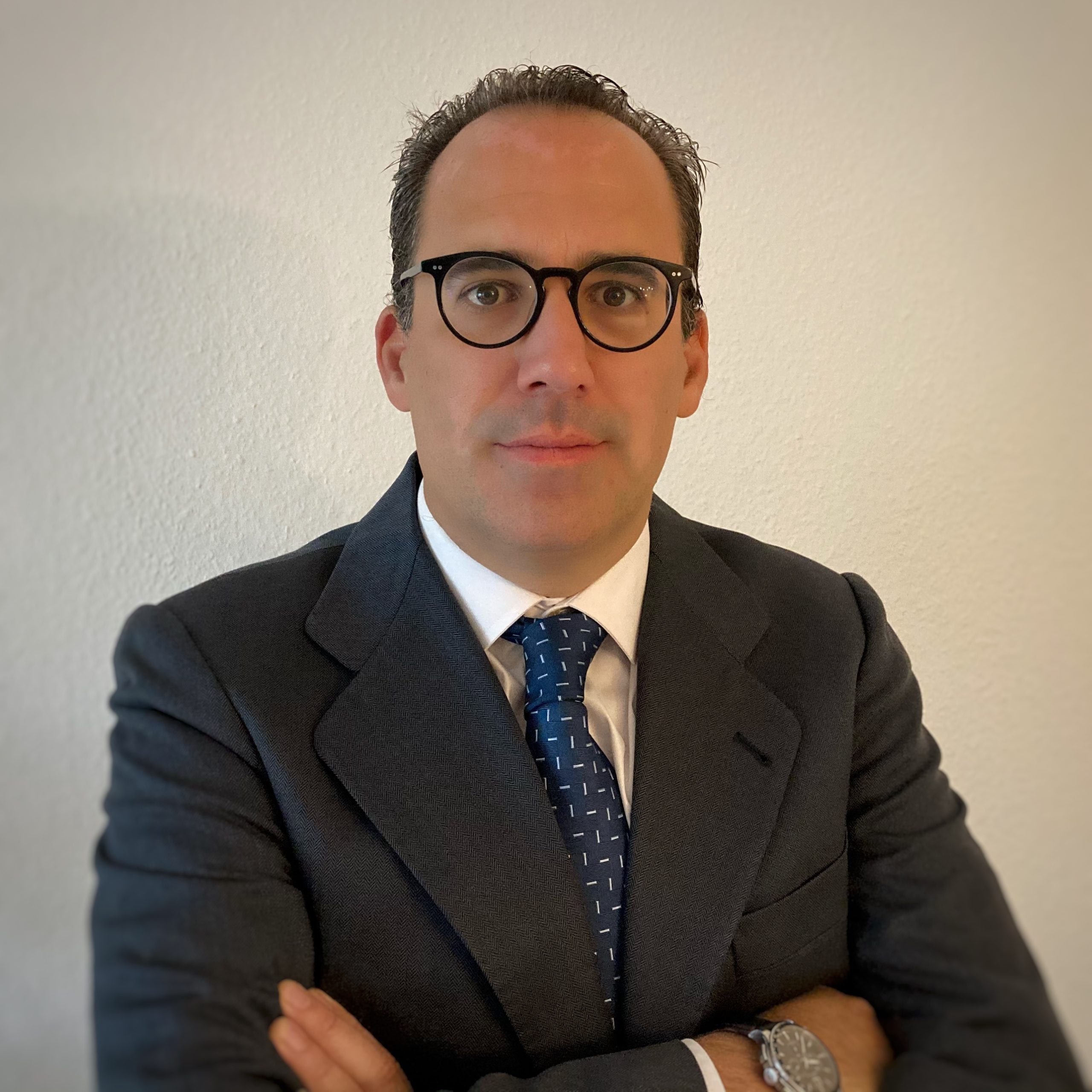 Jaime Gómez-Ferrer Rincón | SFF
